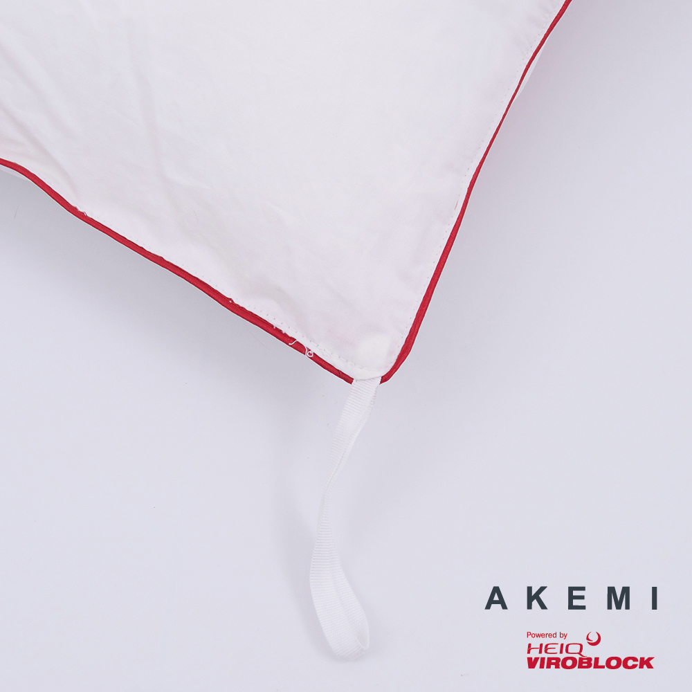 AKEMI Backend. Product 33